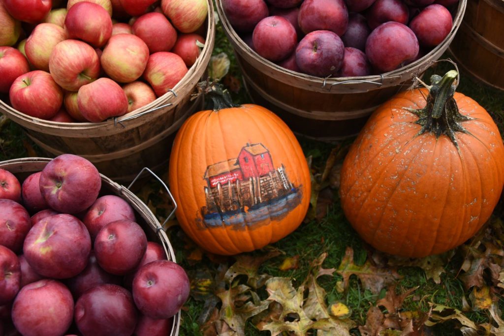 Magnalia Harvest Festival - Magnalia Homestead Foundation