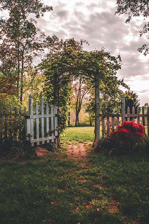 Home - Magnalia Homestead Foundation